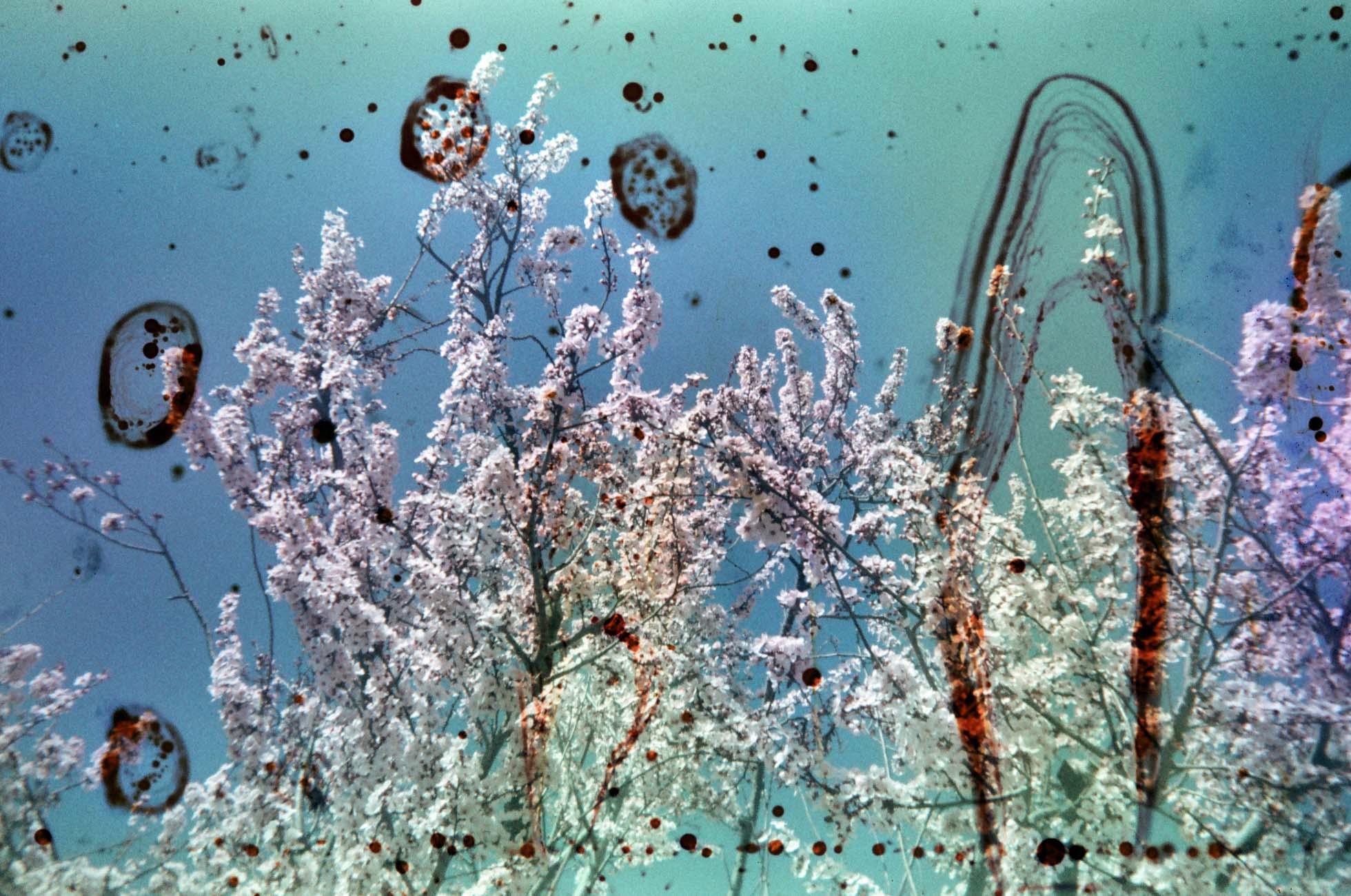 Experiments on Film: Film Soup - hiandhellophotography.com